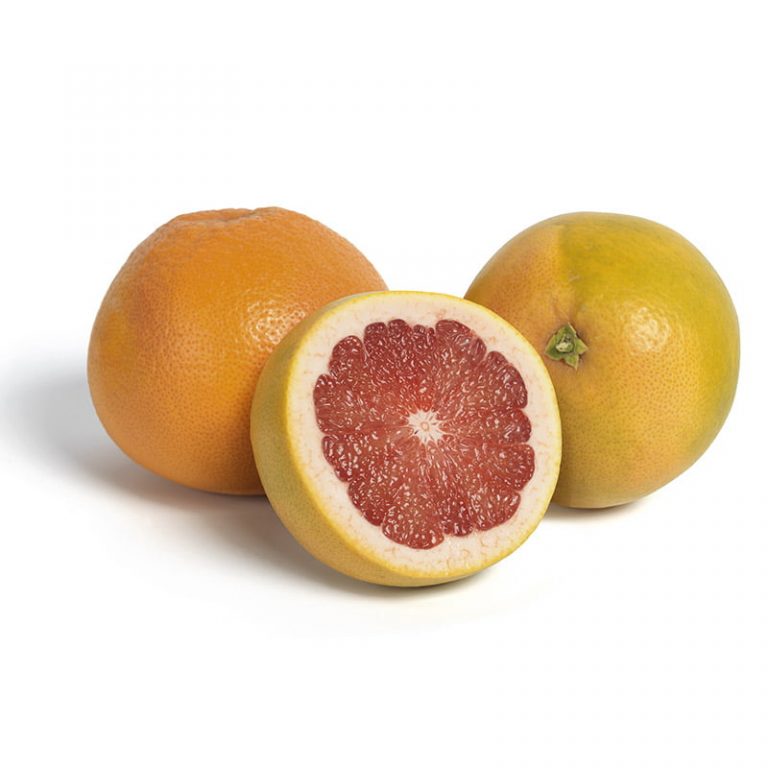 Naranja Navel (Washington) | Naranjas del árbol a casa